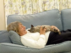 Perché i gatti fanno le fusa? - Cats.com